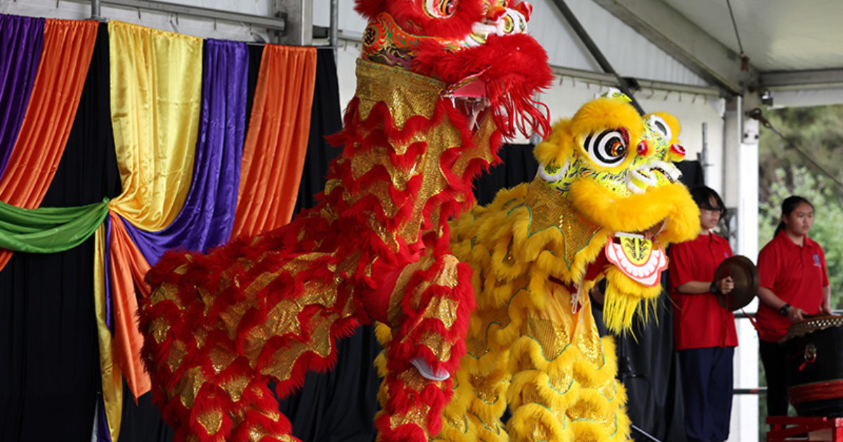 Chinese Lion Dance Group debut at Polyfest - Macleans College