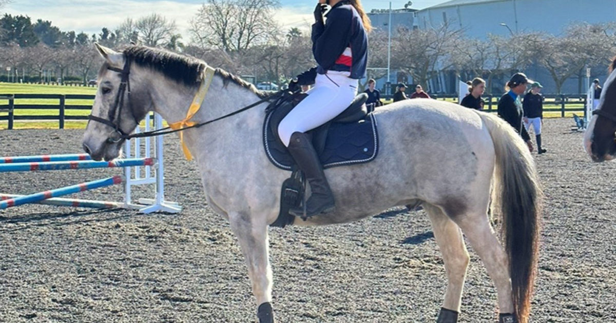 Equestrians achieve excellent results at Inter-Schools Show Jumping ...